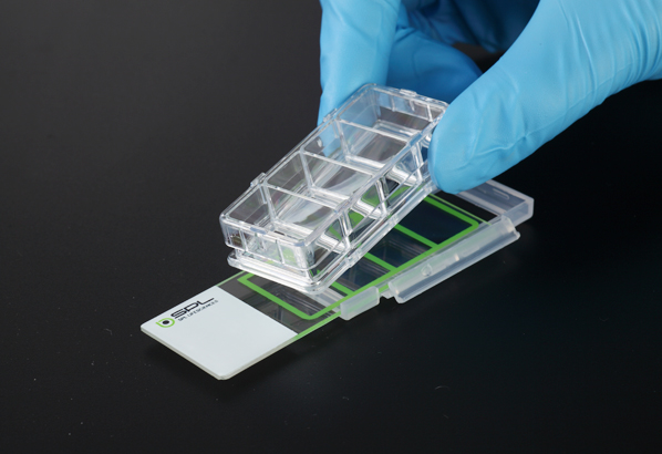 Cell Culture Chamber slide, clear,4 well,PS/glass/PP, 2.13cm2, sterile