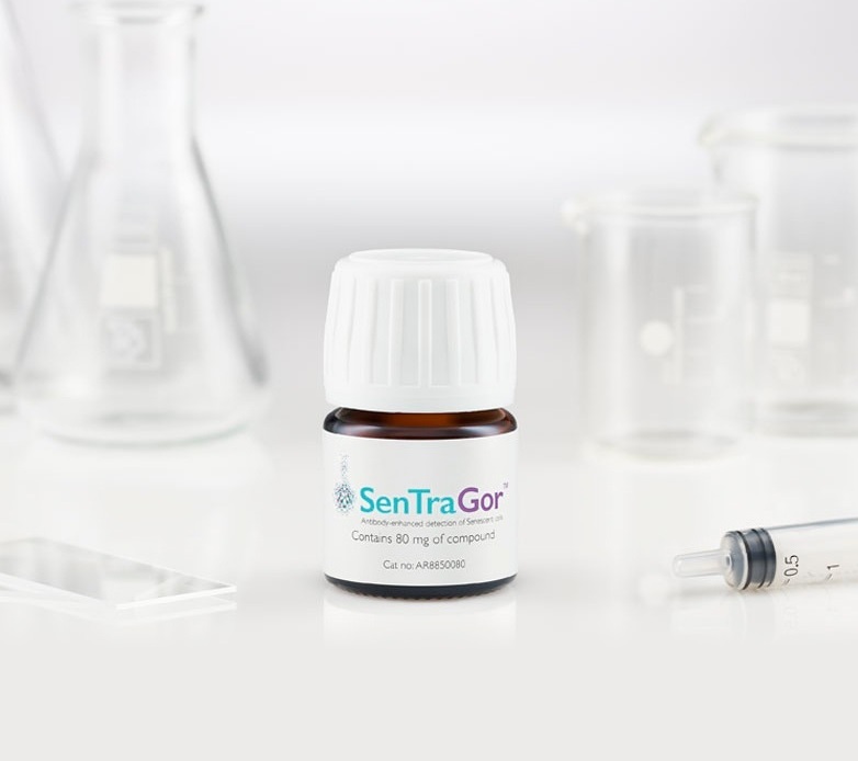 SenTraGor TM reagent for detection of Senescent cells
